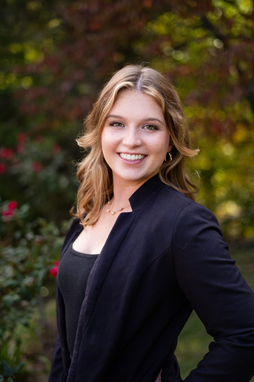 About Us - Castle Ladyhawke